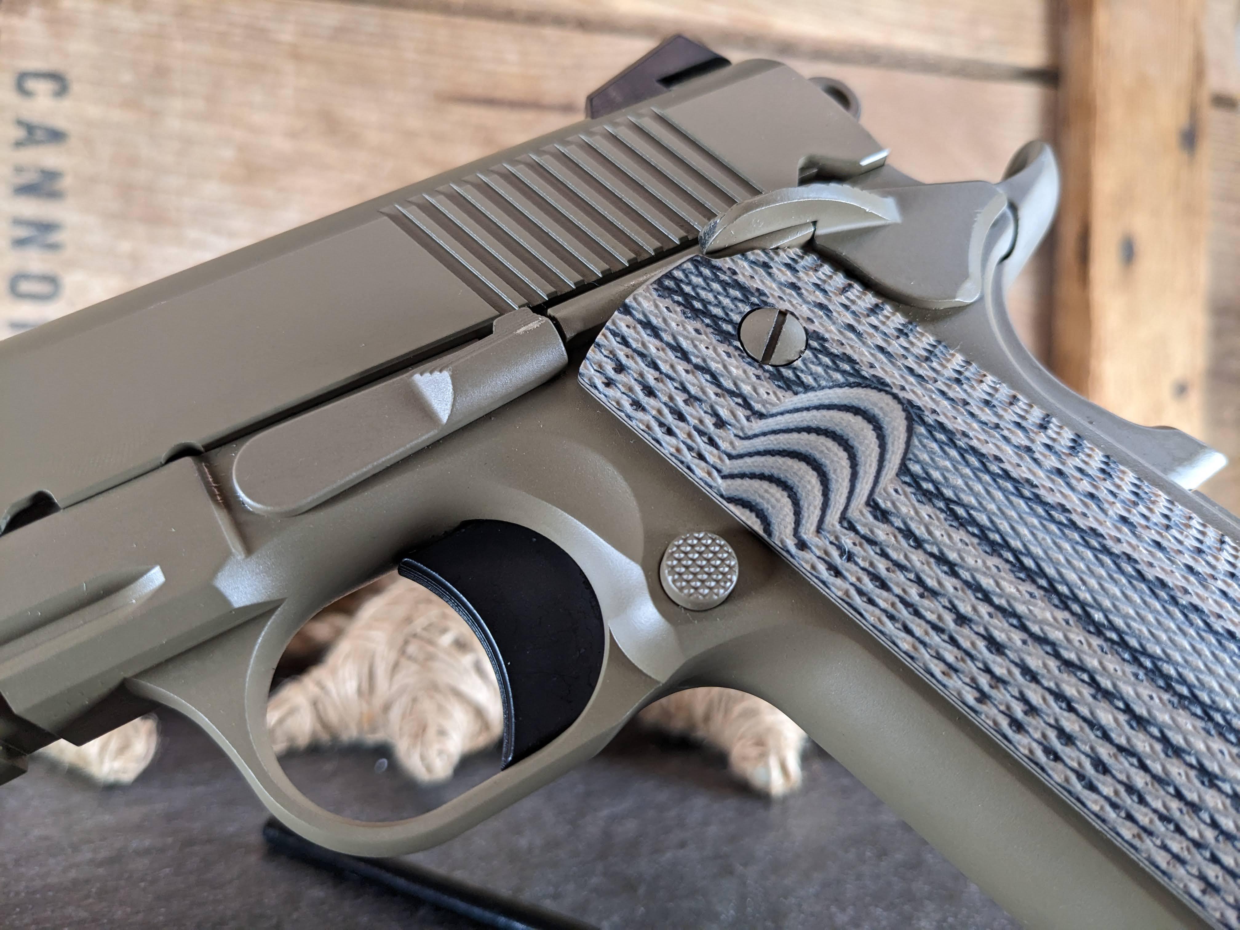 New Tisas 1911 B45R .45acp FDE - harveysauctions.com