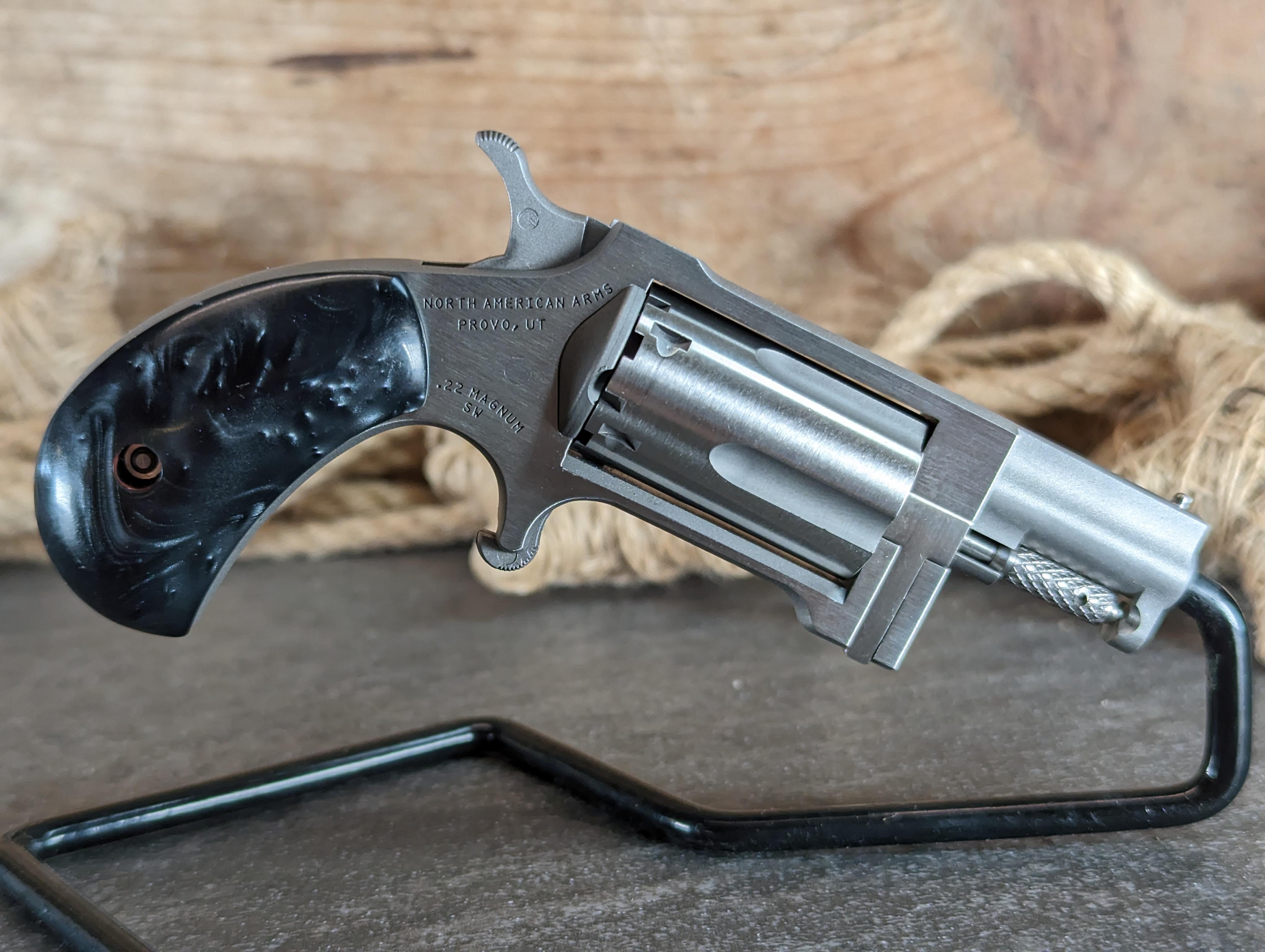 New NAA Sidewinder Mini .22WMR - harveysauctions.com