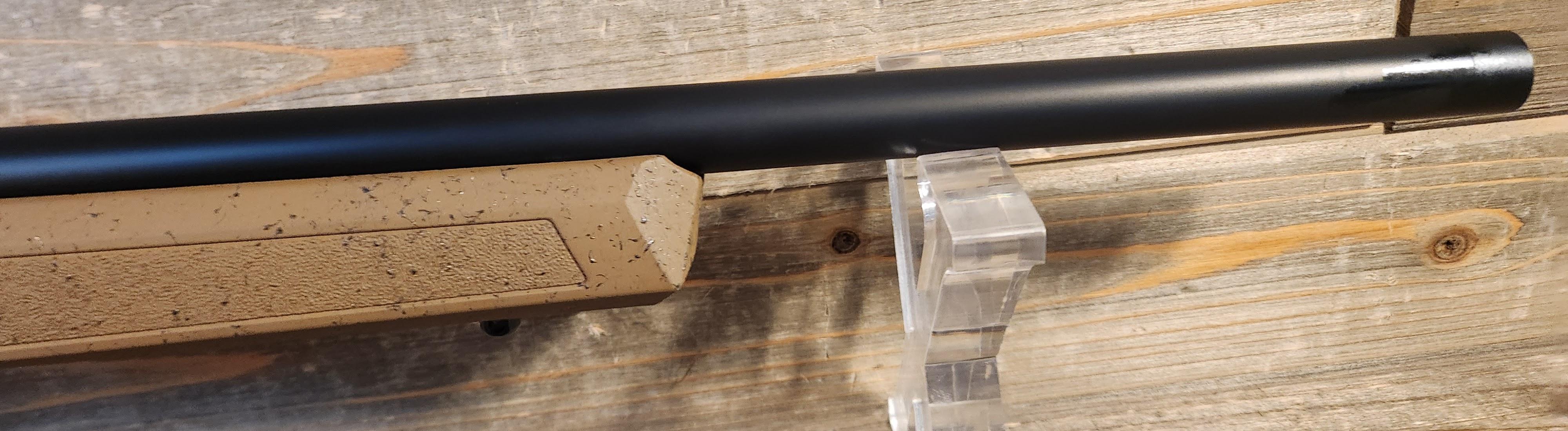 New Springfield 2020 Rimfire Target .22 LR FDE - harveysauctions.com