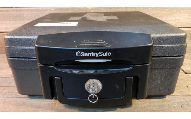 Pre-owned Sentry Safe Single Gun Lock Box - harveysauctions.com