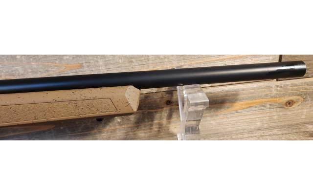 New Springfield 2020 Rimfire Target .22lr FDE - harveysauctions.com